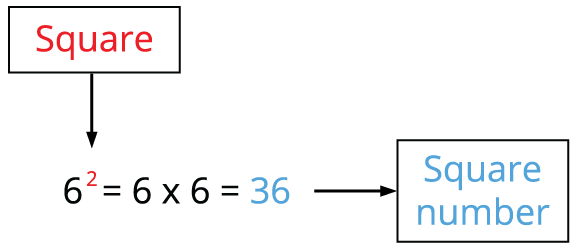 Square and square numbers — lesson. Maths CBSE Live product, Class 8.
