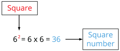 Square and square numbers — lesson. Maths CBSE Live product, Class 8.